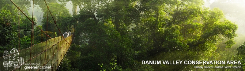 Danum Valley DANUM VALLEY CONSERVATION AREA