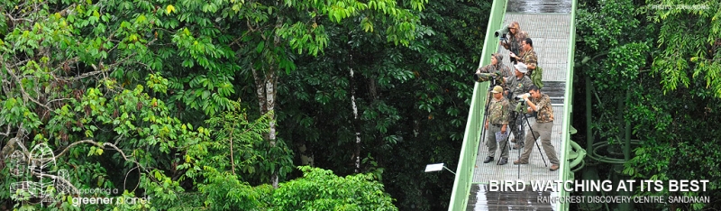 RAINFOREST DISCOVERY CENTRE - Sabah Travel Guide - Ultimate travel ...